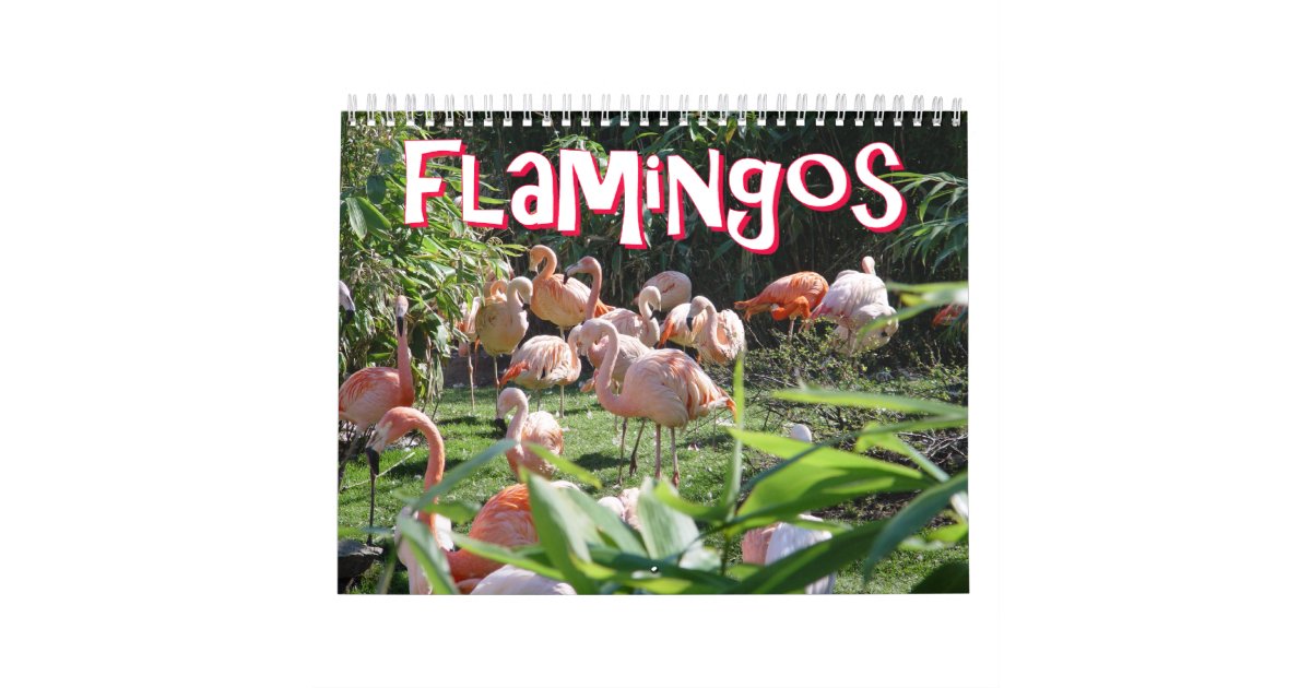 Flamingos Calendar | Zazzle