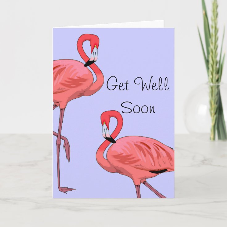 Flamingos Get Well Soon Card | Zazzle