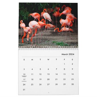 Flamingos Wall Calendar | Zazzle