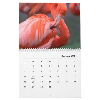 Flamingos Wall Calendar | Zazzle