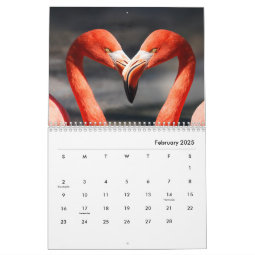 Flamingos Wall Calendar | Zazzle