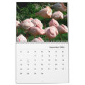 Flamingos Wall Calendar | Zazzle