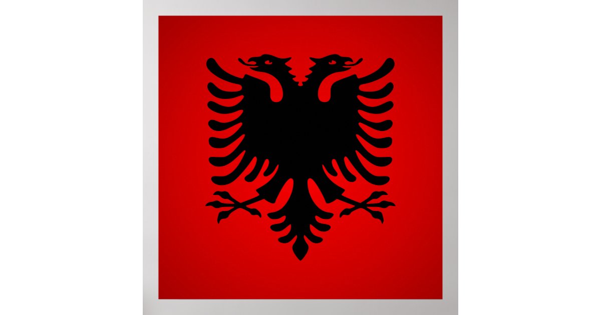 Flamuri i shqiperise poster | Zazzle