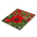 Flanders Poppy Ceramic Tile | Zazzle
