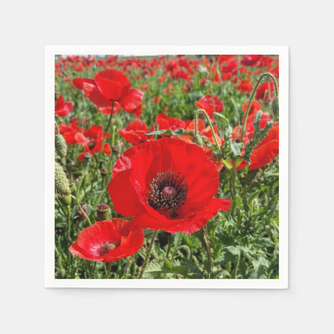 Flanders Poppy Napkins | Zazzle