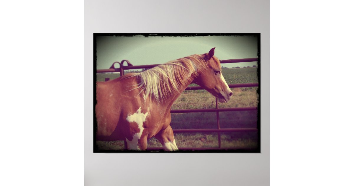 Flashy Poster | Zazzle