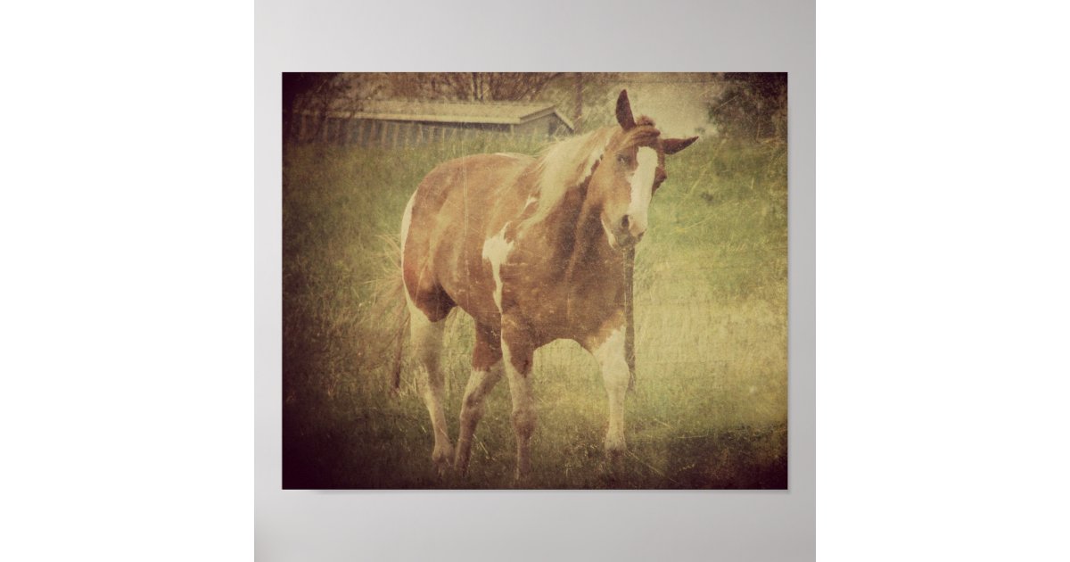 Flashy Shakes Head Poster | Zazzle