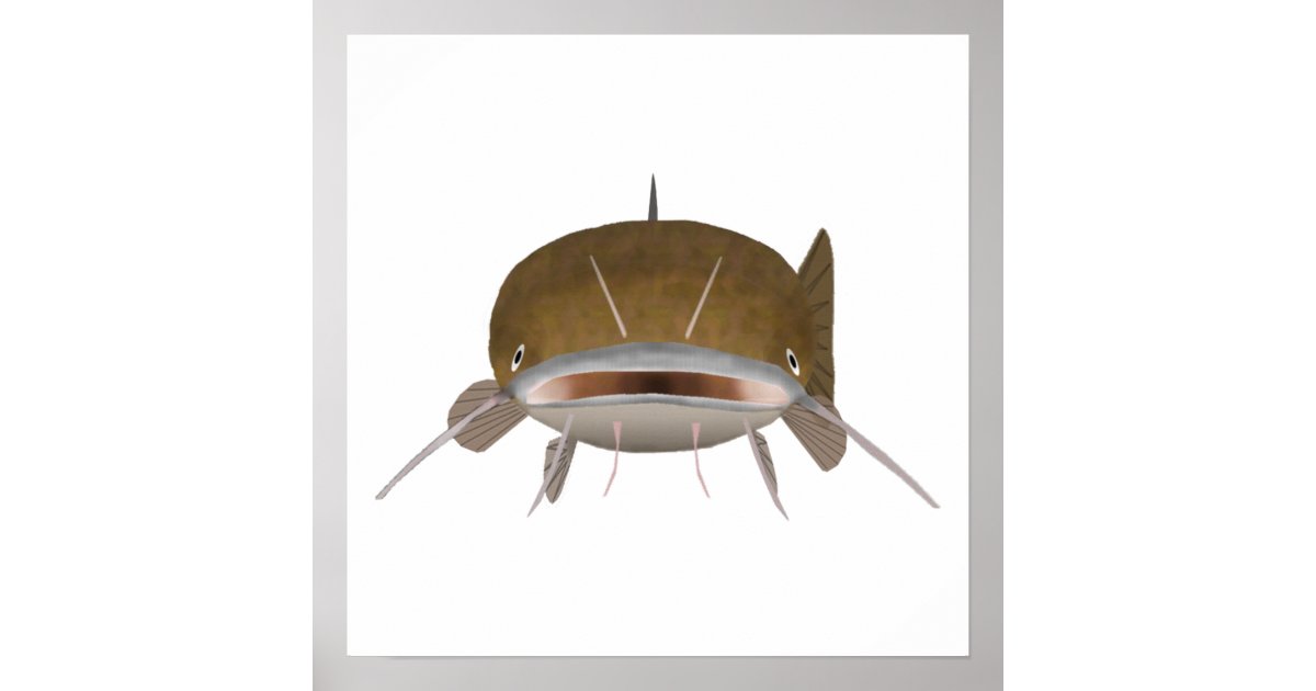 Flathead Catfish - Fish Head Poster | Zazzle