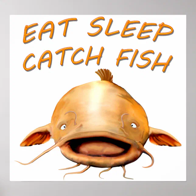 Flathead Catfish Poster | Zazzle