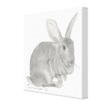 After 30 Years, I'm Sketching Again!