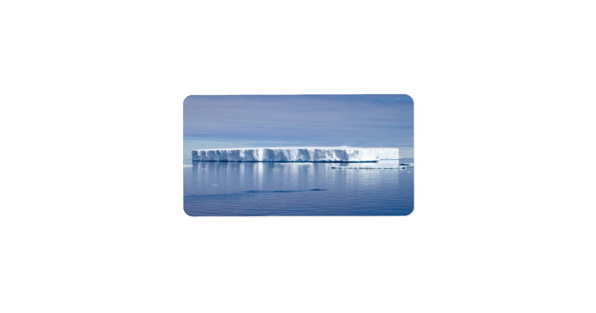 Floating iceberg label | Zazzle
