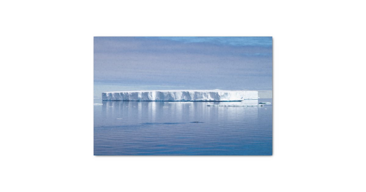 Floating iceberg tissue paper | Zazzle