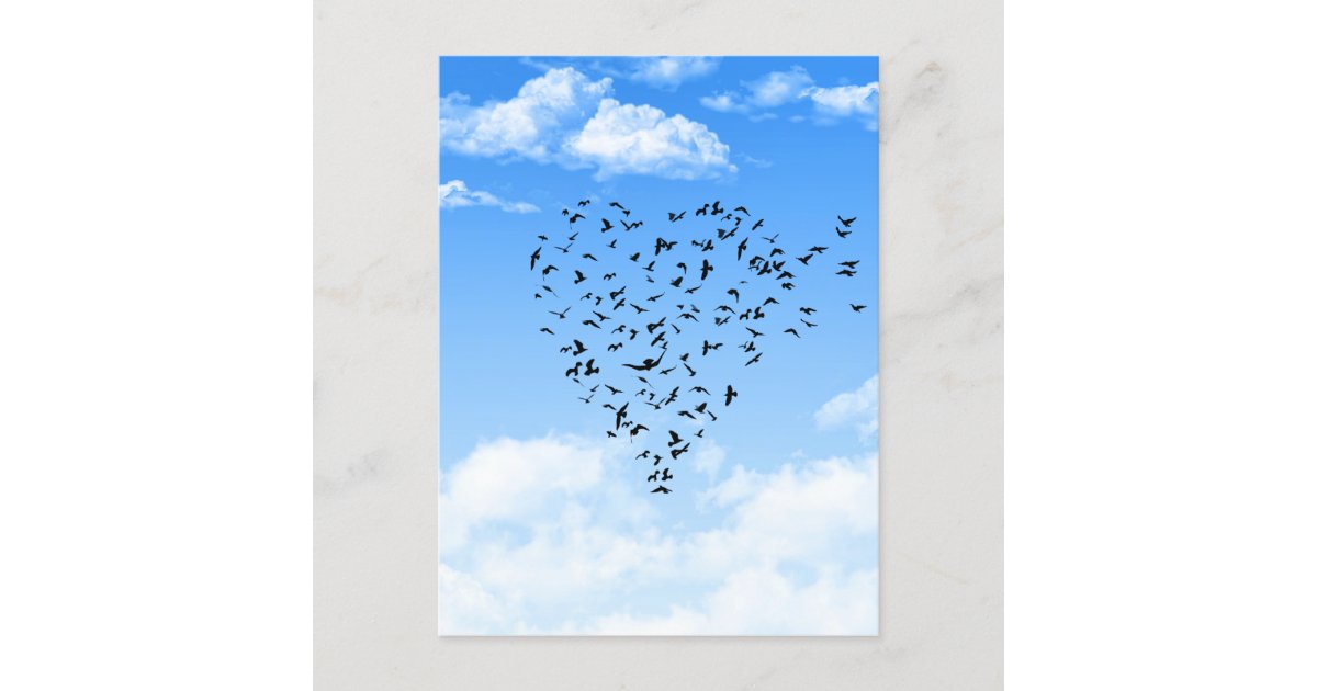 Flock of Birds Love Heart Postcard | Zazzle