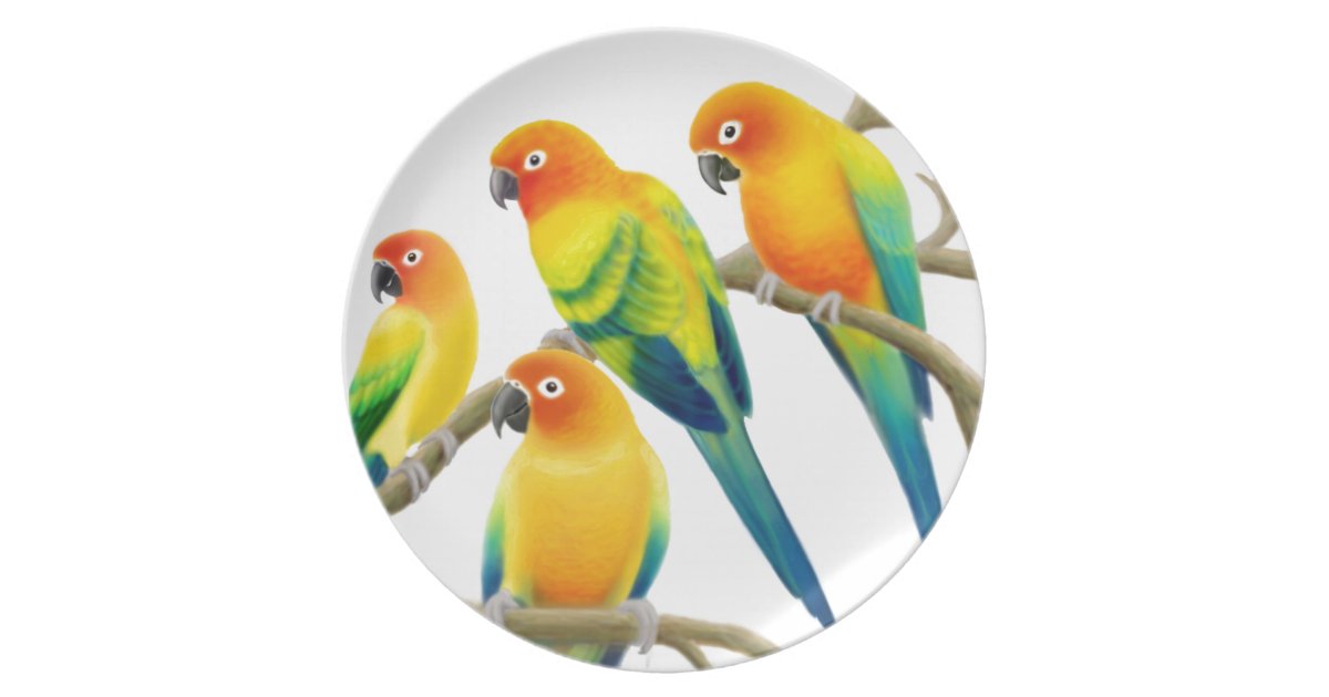Flock of Sun Conure Parrots Plate | Zazzle