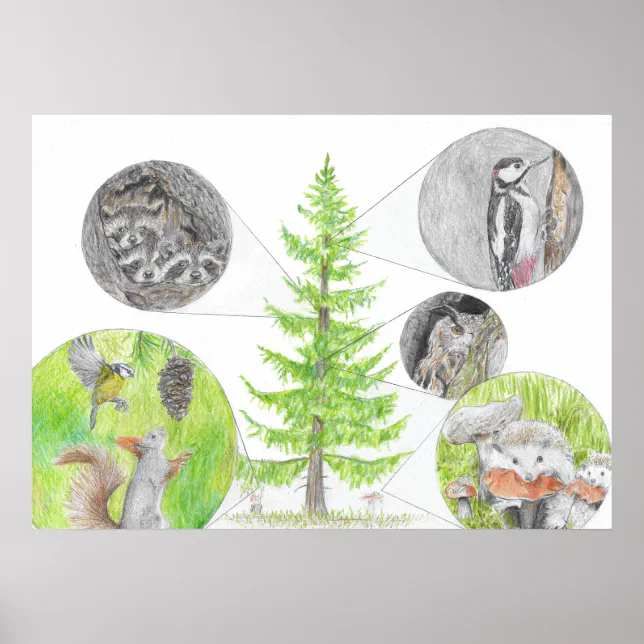 Flora and Fauna Poster | Zazzle
