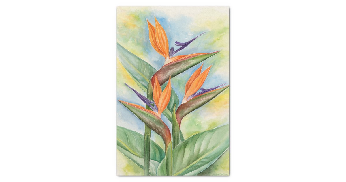 Floral Decoupage Birds Of Paradise Watercolor Tissue Paper | Zazzle