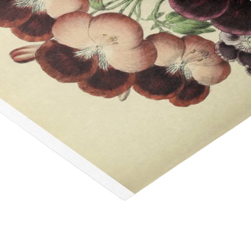 Floral Ephemera Decoupage Purple White Pansies Tissue Paper | Zazzle