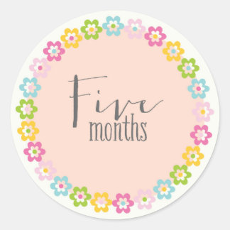 Month Baby Stickers | Zazzle