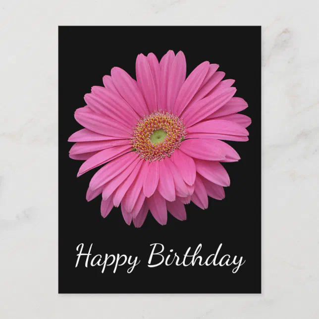 Floral Happy Birthday Pink Gerbera Daisy Black Postcard | Zazzle