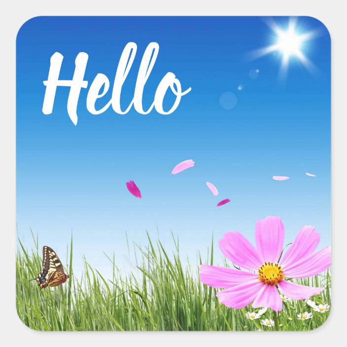 Floral Hello Daisy Butterfly Friendship Love Square Sticker | Zazzle.com