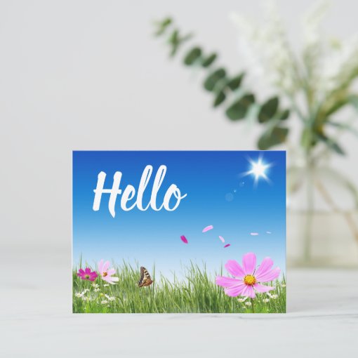 Floral Hello Daisy Butterfly Wildflowers Friends Postcard | Zazzle