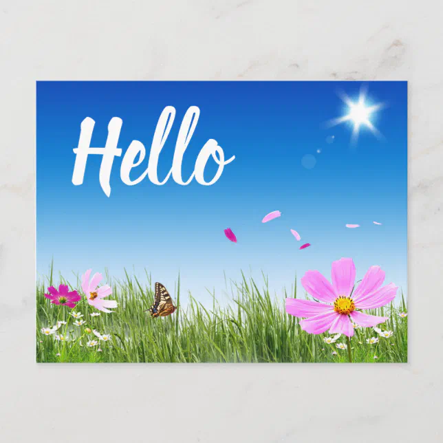 Floral Hello Daisy Butterfly Wildflowers Friends Postcard | Zazzle
