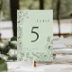 Floral Line Art Sage Green Wedding Table Number | Zazzle