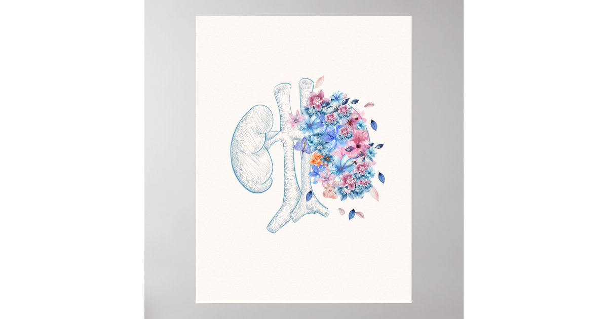 Floral medical kidney anatomy poster | Zazzle