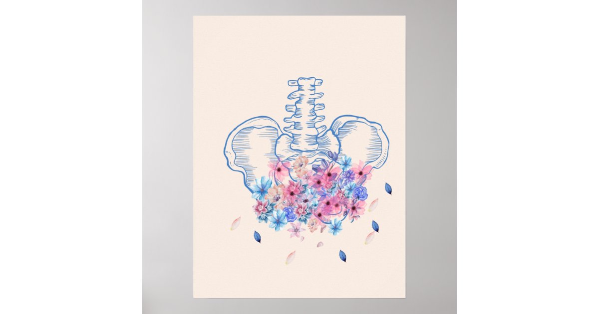 Floral medical pelvis anatomy poster | Zazzle