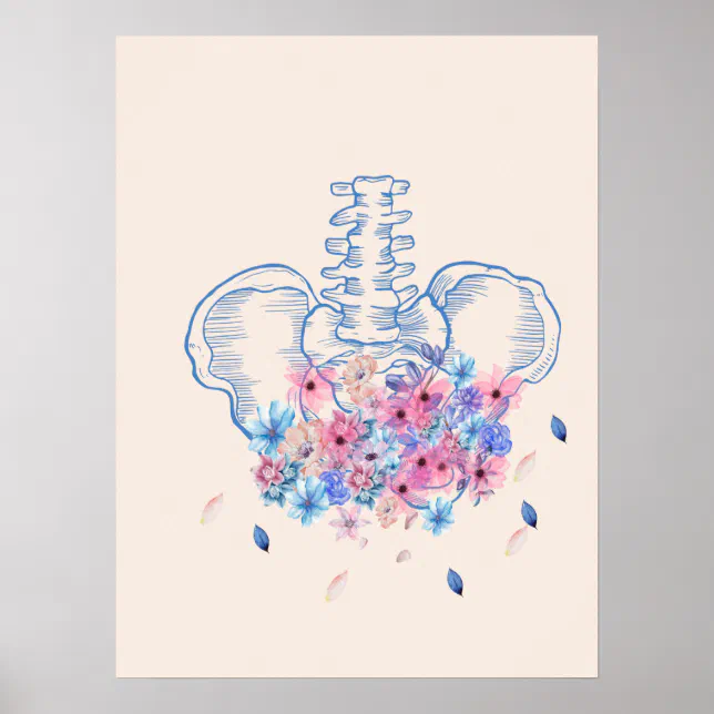 Floral medical pelvis anatomy poster | Zazzle