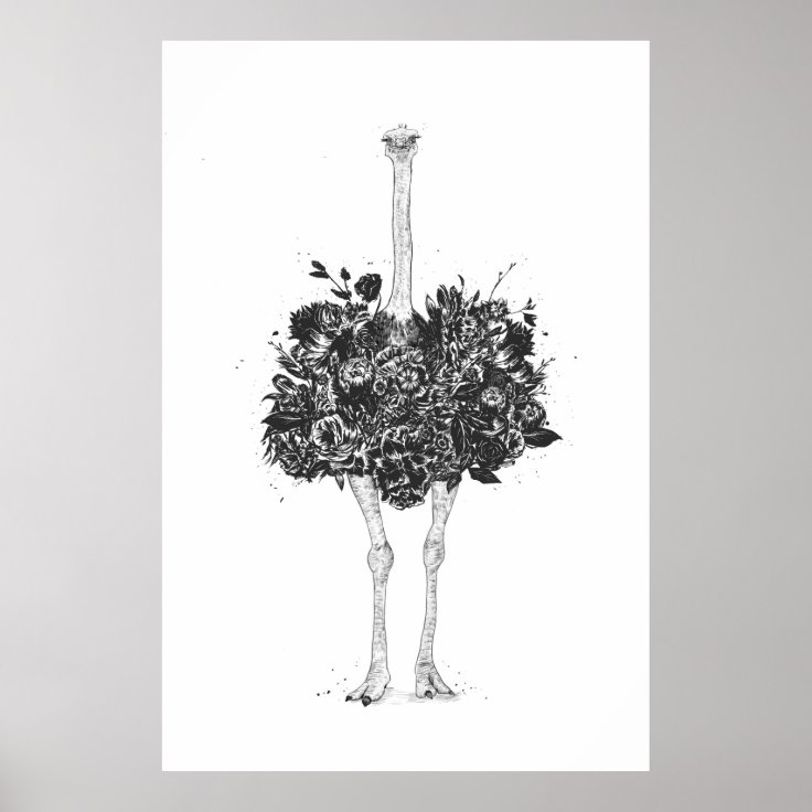 Floral ostrich poster | Zazzle
