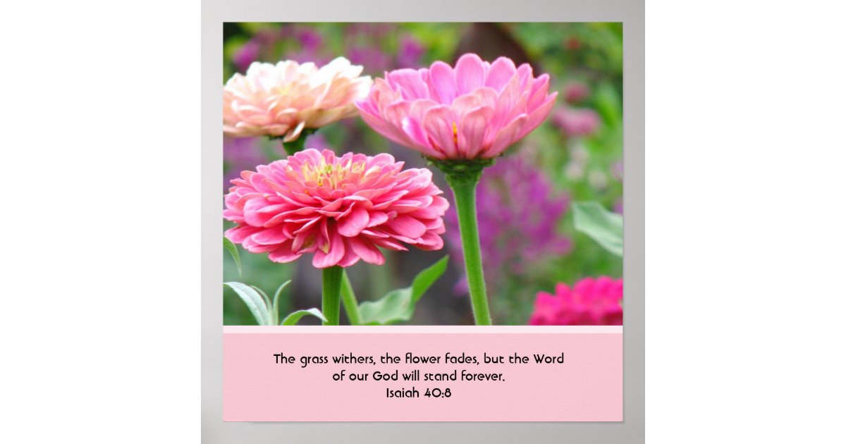 Floral Poster with Bible Verse | Zazzle