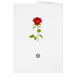 Floral Red Rose Flower Roses Wedding Love Hello | Zazzle