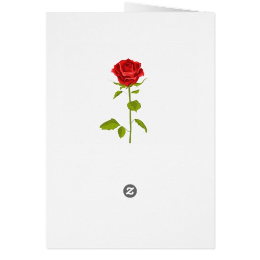 Floral Red Rose Flower Roses Wedding Love Hello | Zazzle