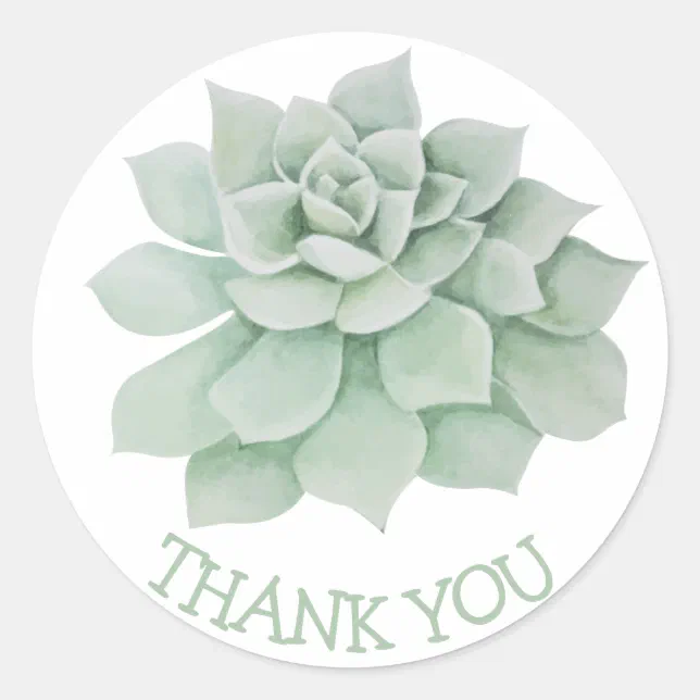 Floral Thank You Green Succulent Cactus Classic Round Sticker | Zazzle