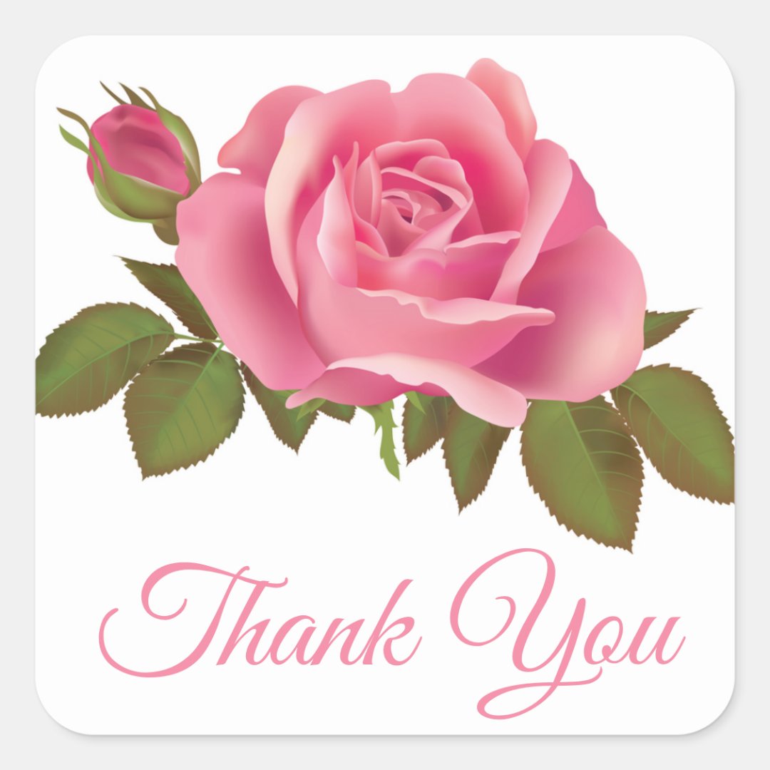 Floral Thank You Pink Rose Flower Roses Square Sticker | Zazzle