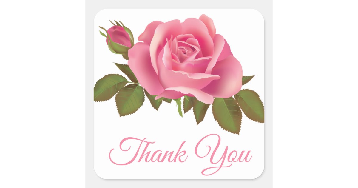 Floral Thank You Pink Rose Flower Roses Square Sticker | Zazzle