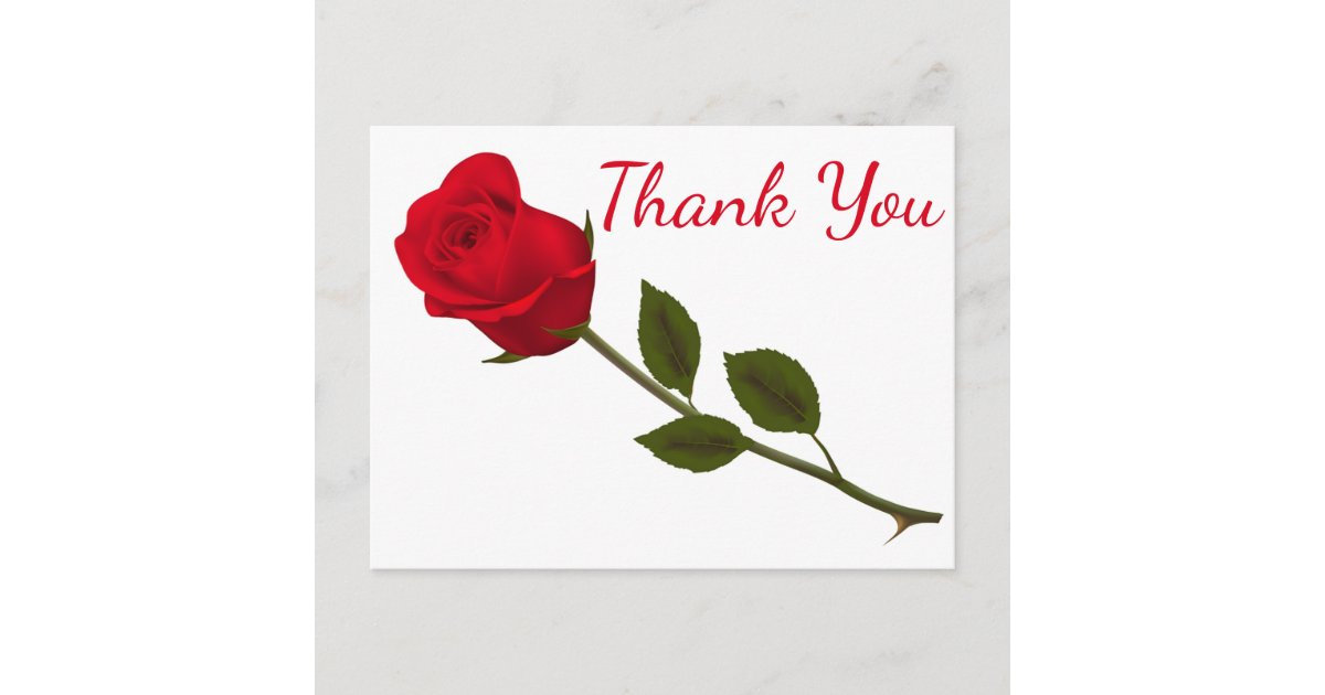 Floral Thank You Red Rose Flower Postcard | Zazzle