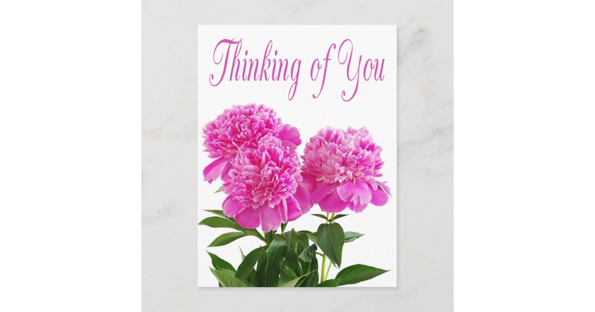 Floral Thinking Of You Pink Peony Flower Postcard | Zazzle
