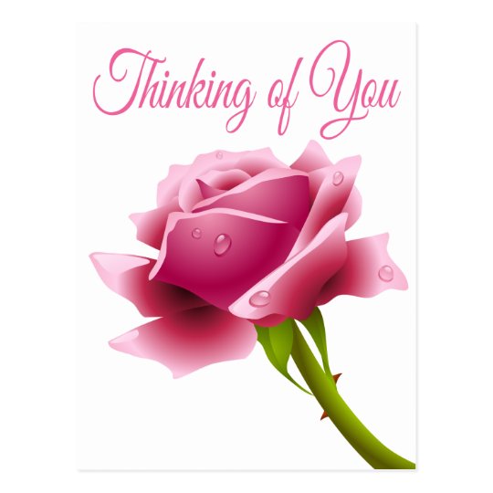 Floral Thinking of You Pink Rose Flower Postcard | Zazzle.com