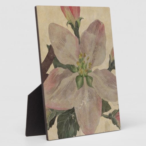 Floral:Vintage Plaque | Zazzle
