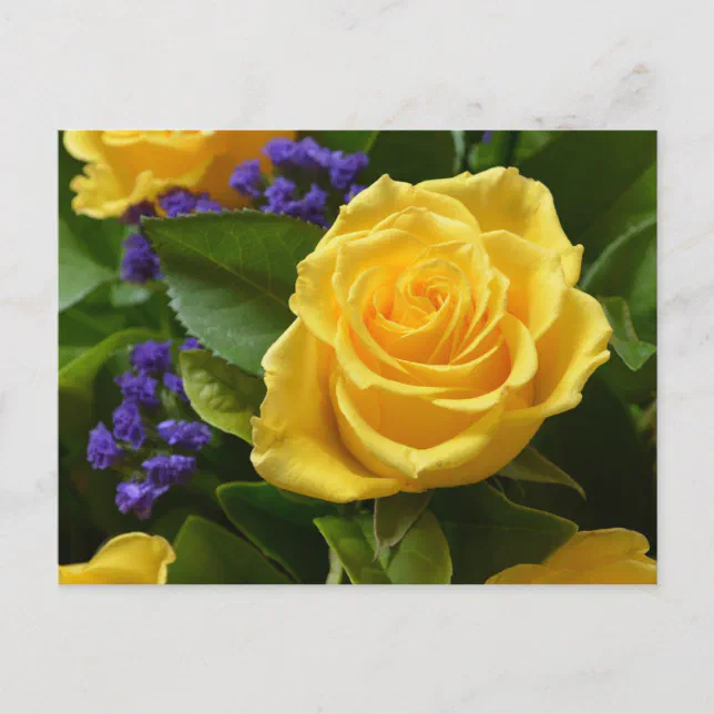 Floral Yellow Rose & Purple Flowers Hello Love Postcard | Zazzle