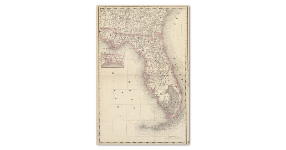 Florida 10 tissue paper | Zazzle