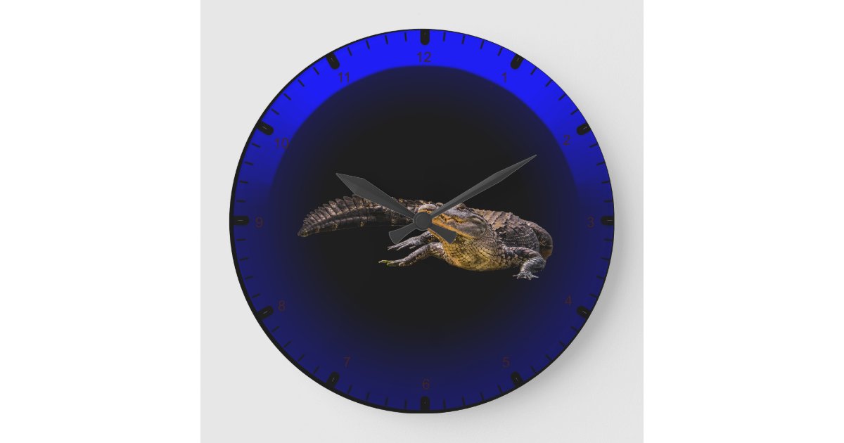 Florida alligator large clock | Zazzle