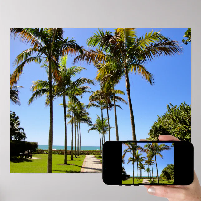 FLORIDA BEACH PALM TREES TROPICAL PARK POSTER | Zazzle
