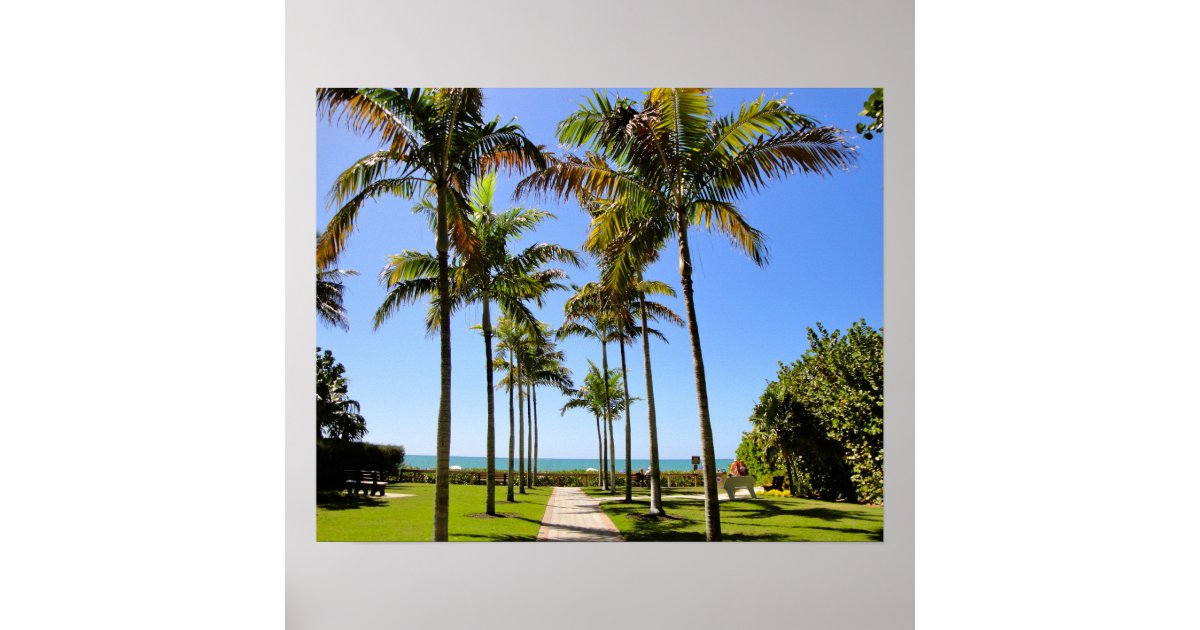 FLORIDA BEACH PALM TREES TROPICAL PARK POSTER | Zazzle