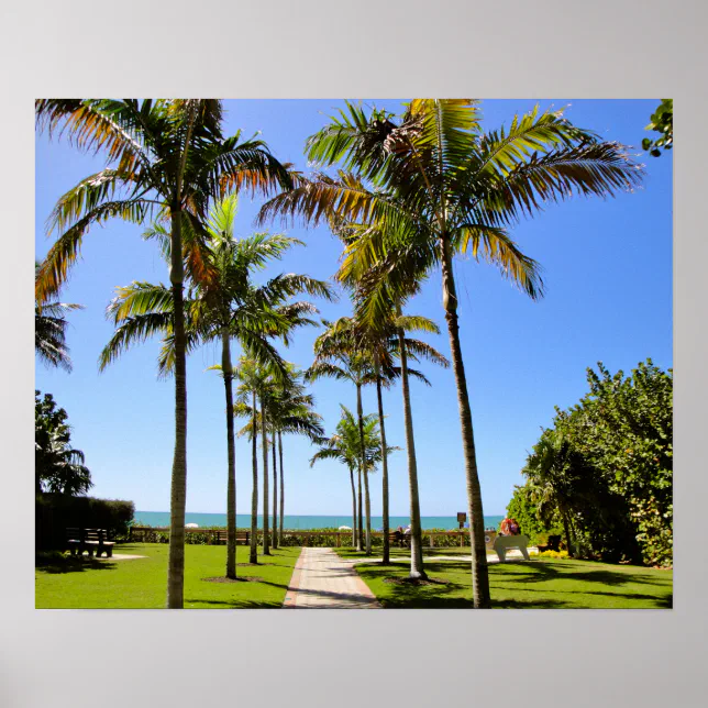 FLORIDA BEACH PALM TREES TROPICAL PARK POSTER | Zazzle