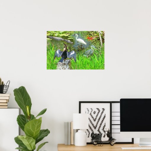 Florida Everglades National Park wildlife Poster | Zazzle