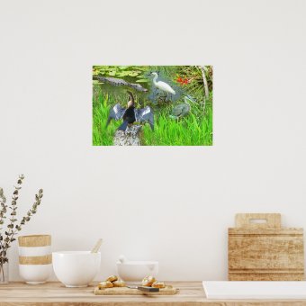Florida Everglades National Park wildlife Poster | Zazzle