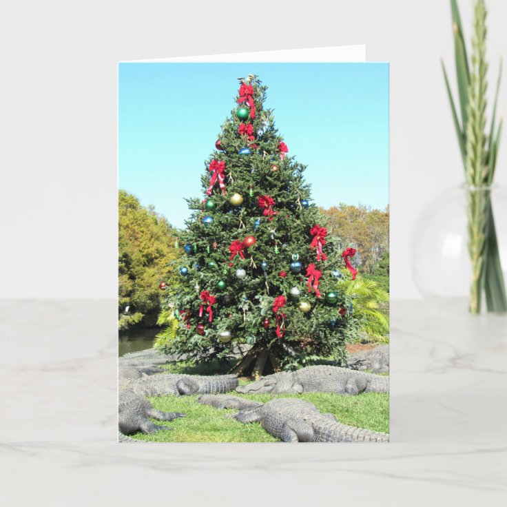 Florida Gator Christmas Card | Zazzle